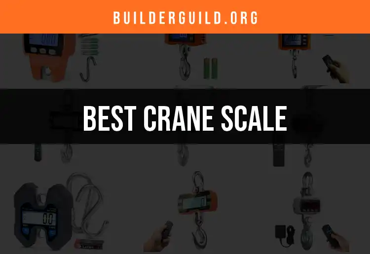 11 Top Crane Scales for Precision Lifting